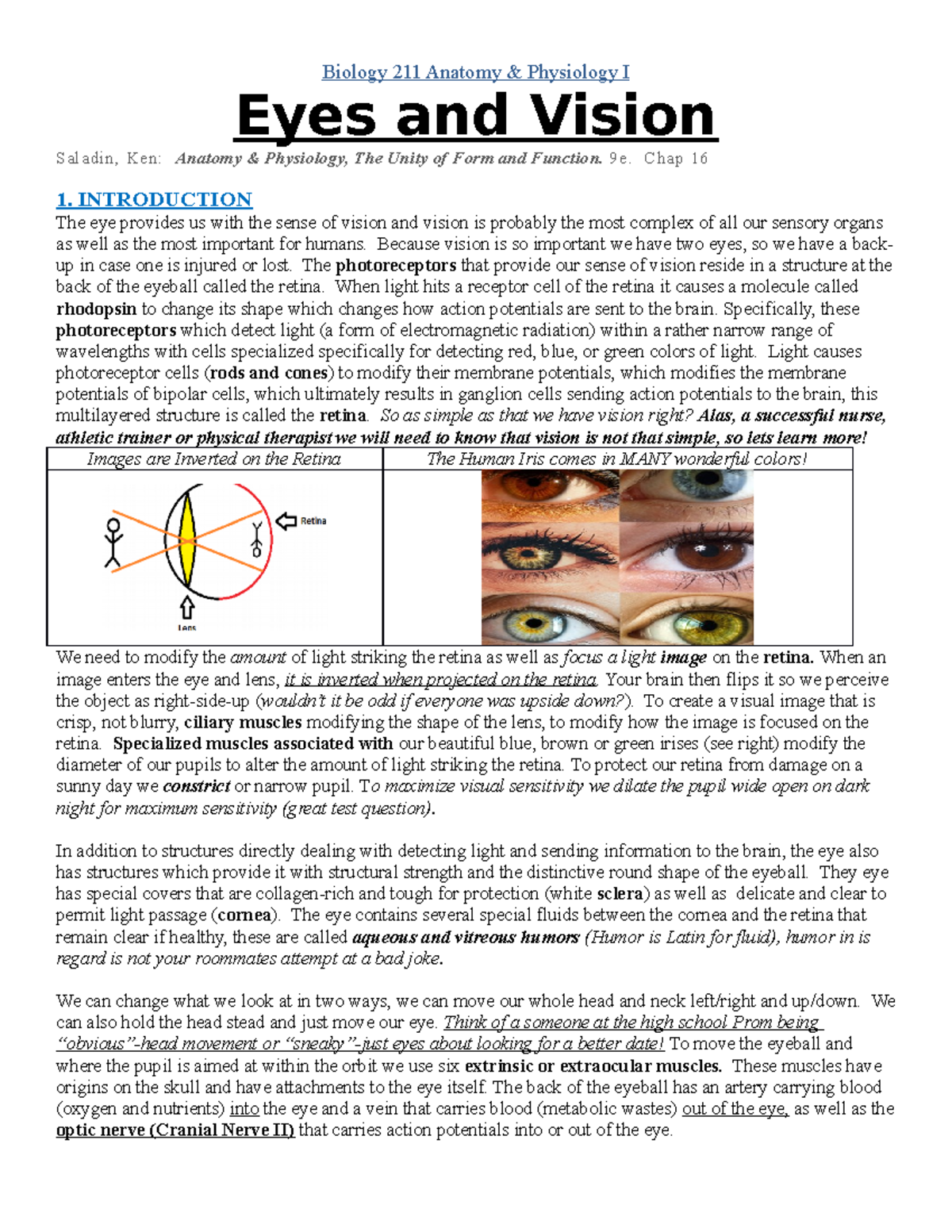 Bio 211 eyes and vision Oct16 2022 - Biology 211 Anatomy & Physiology I ...