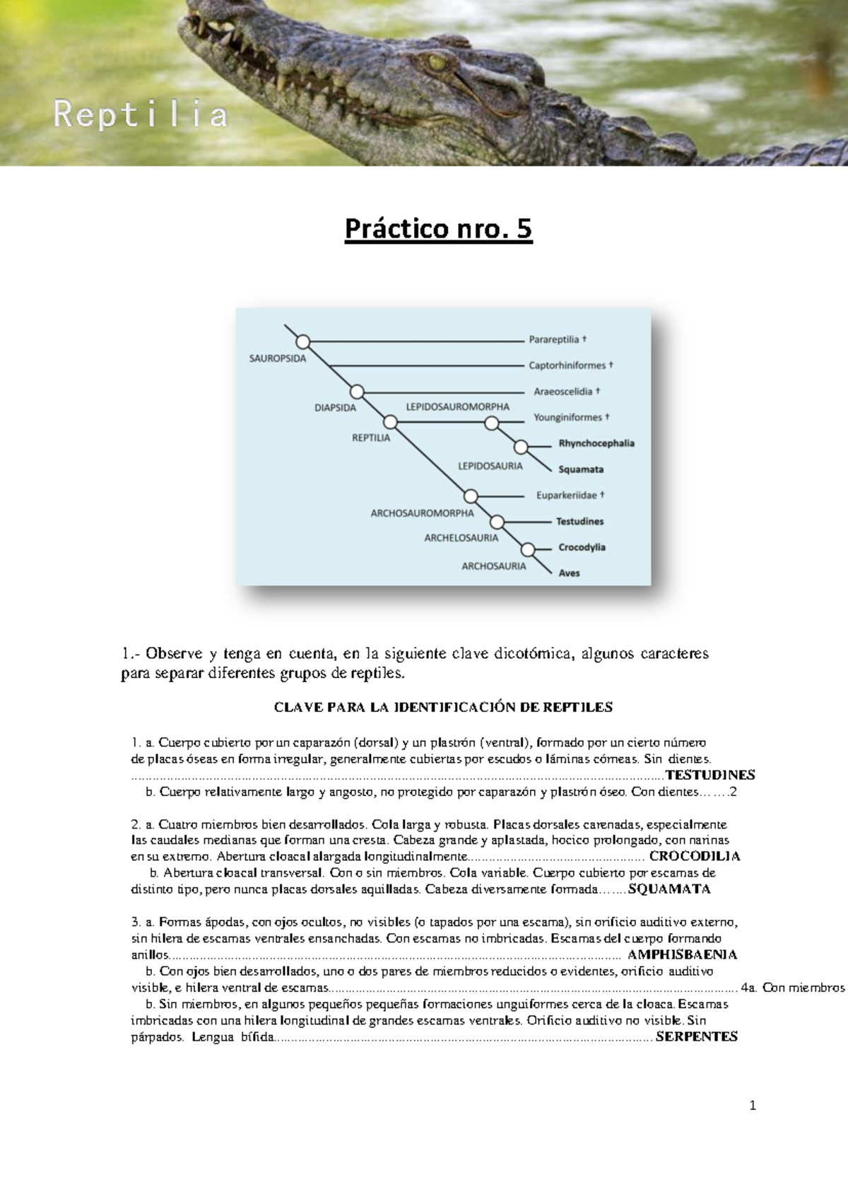 trabajo práctico Reptilia - Práctico nro. 5 1.- Observe y tenga en ...