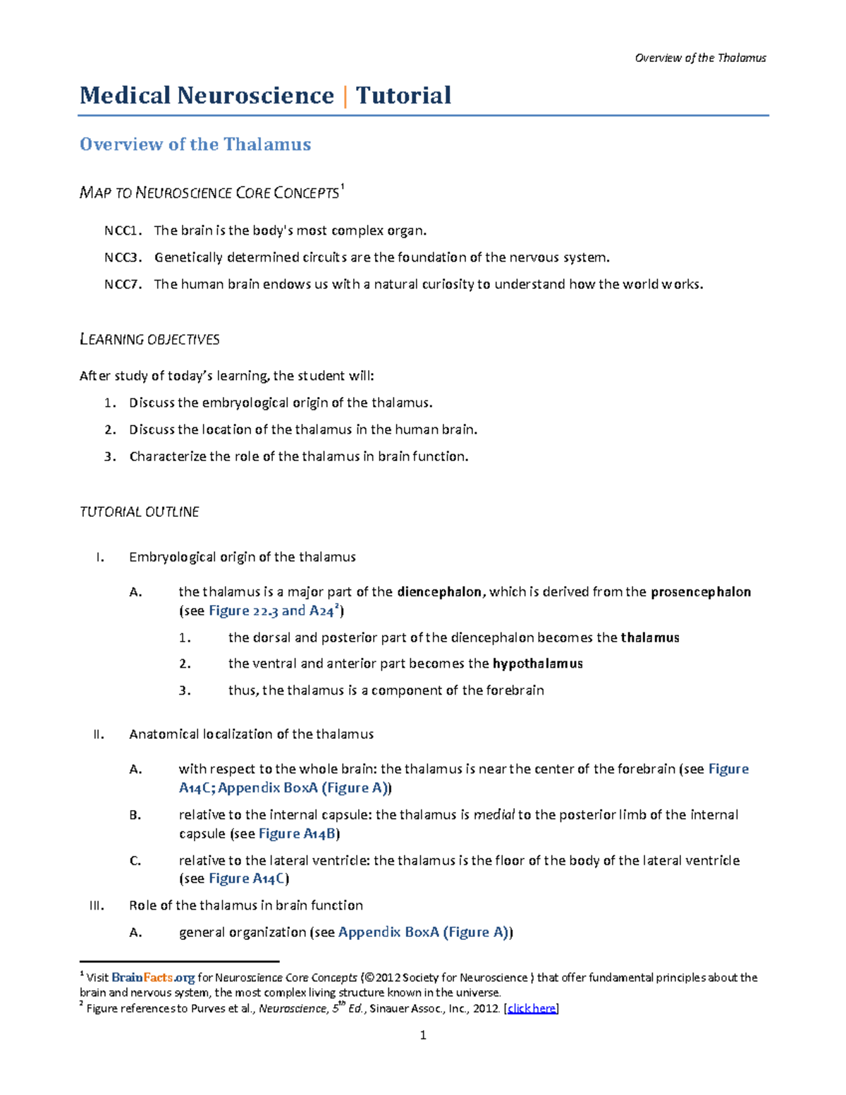 Unit 3 - Summary Intro to neuroscience - Overview of the Thalamus ...