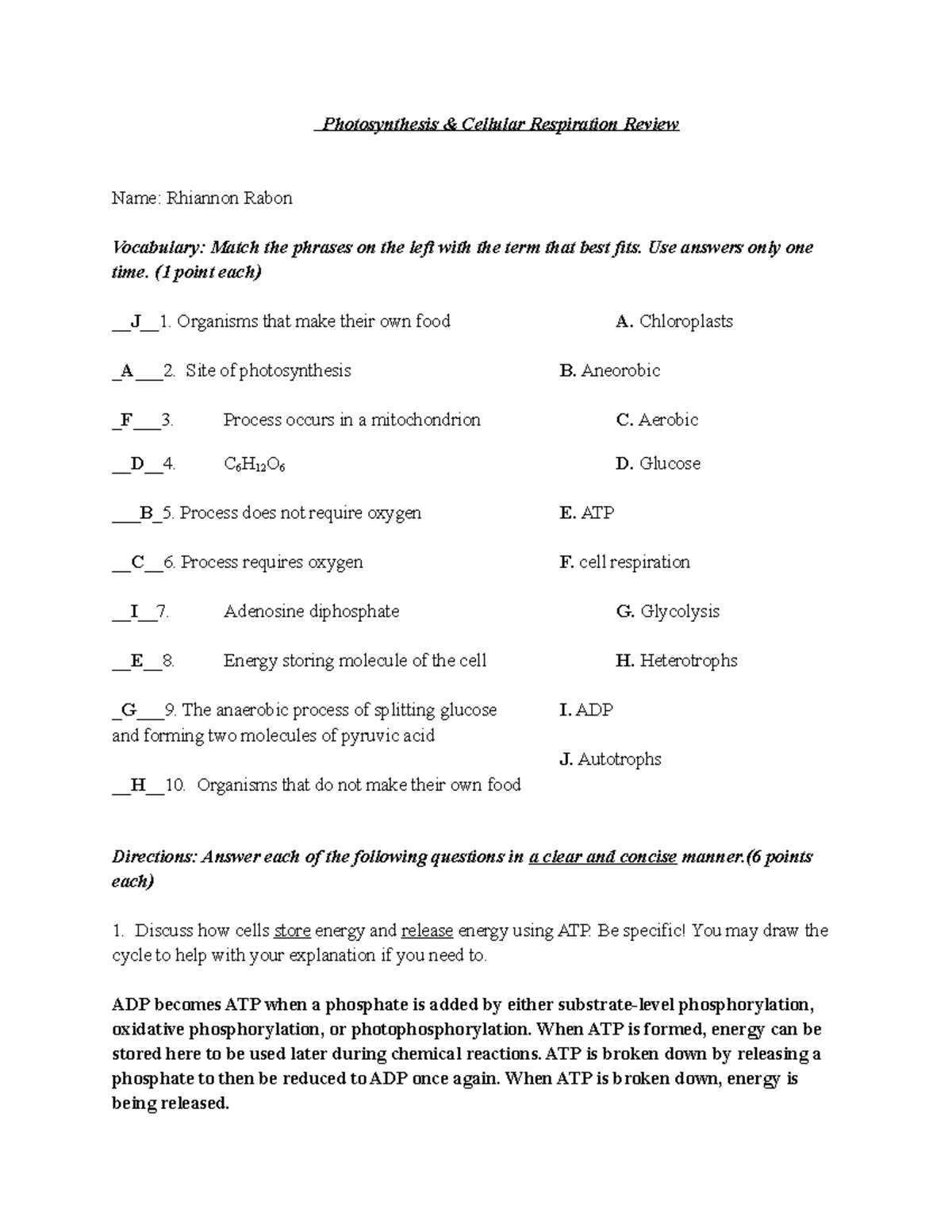 Photosynthesis Cellular Respiration Review StuDocu