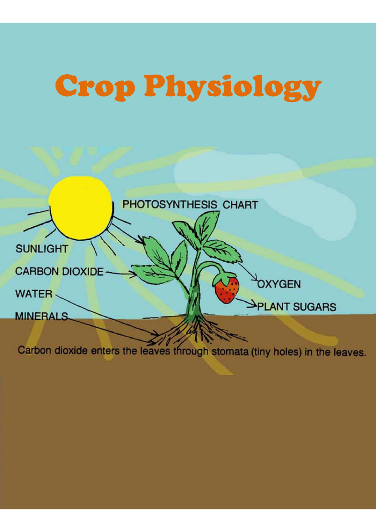 Crop physiology (part 1) - Botany ist sem - Studocu