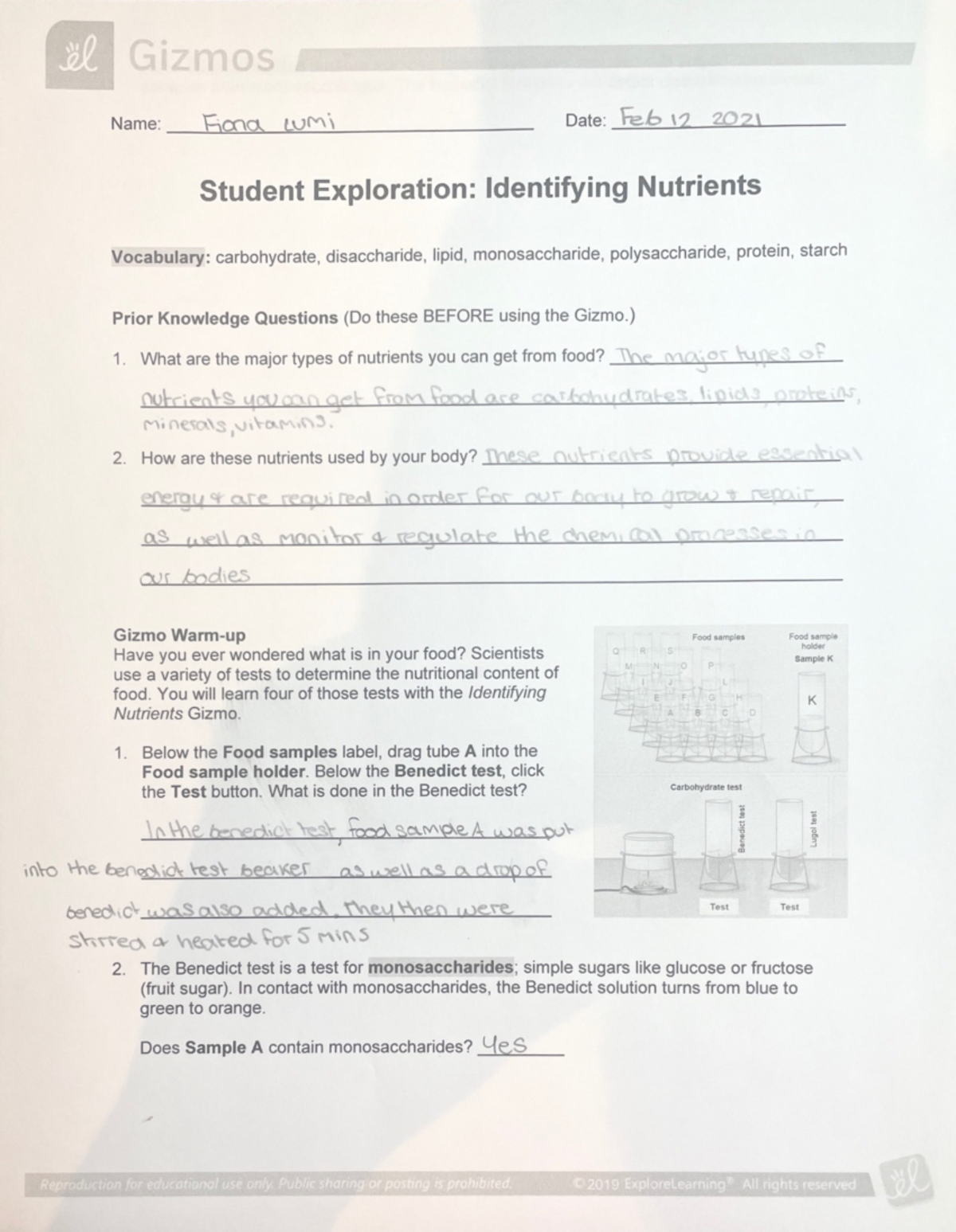 Identify nutrients gizmo - 2B03 - Studocu