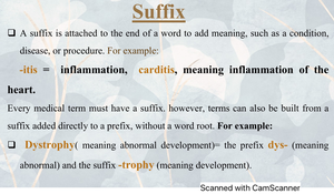 Lecture 1 - lec1 terminology - medical terminology - Studocu