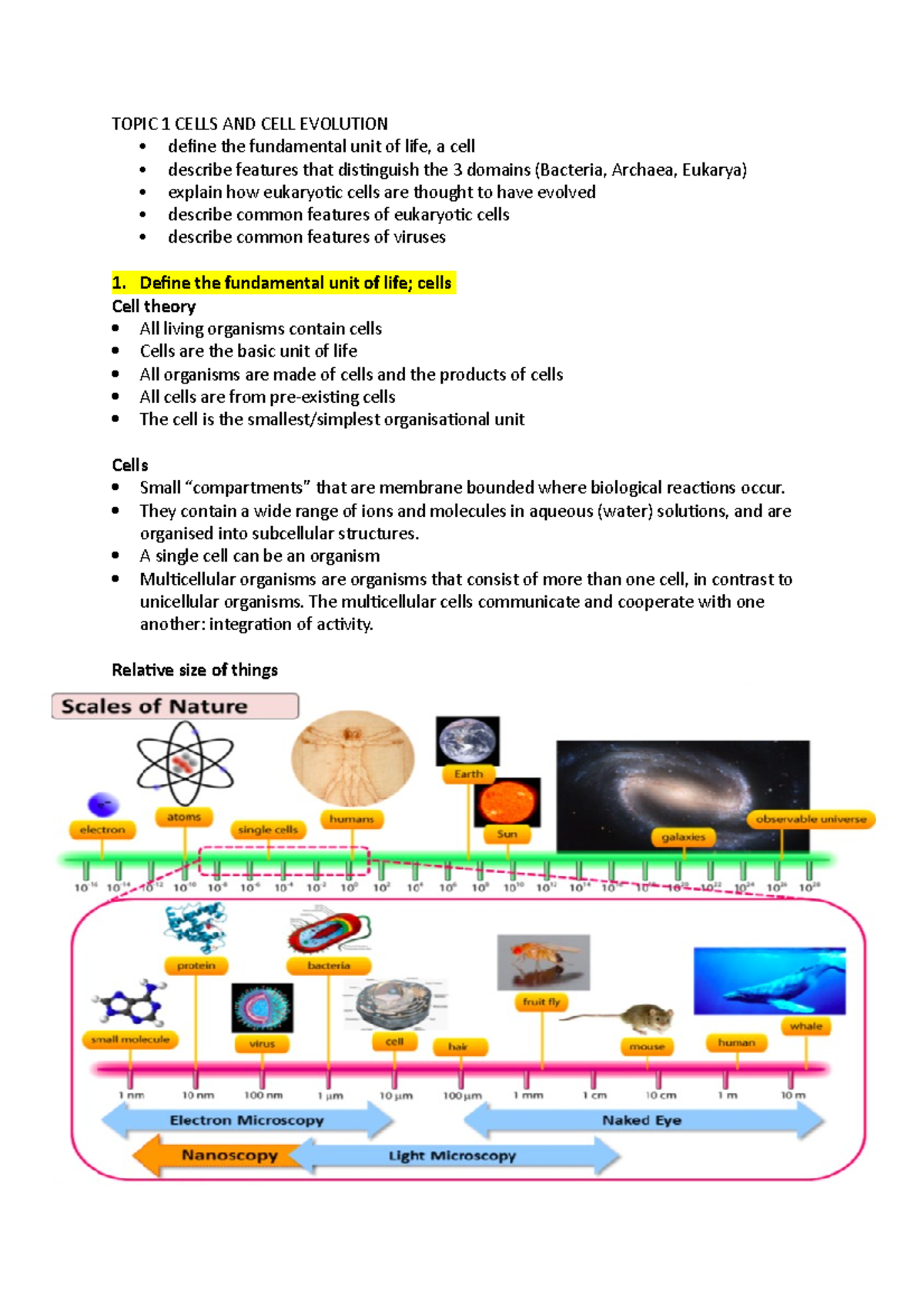 Topic 1 Cells AND CELL Evolution - TOPIC 1 CELLS AND CELL EVOLUTION ...
