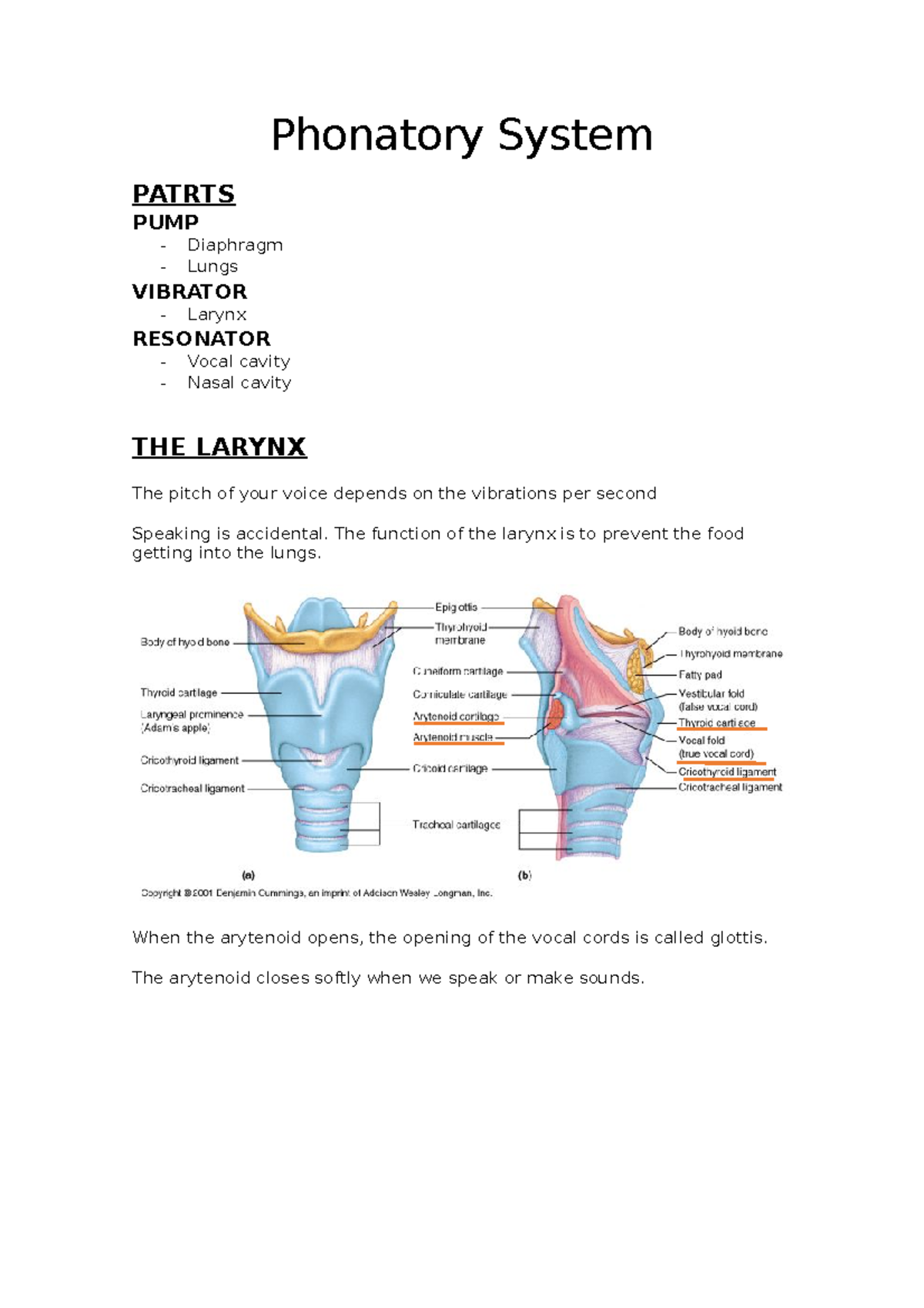 Phonatory System - Glòria Prats - Phonatory System PATRTS PUMP ...