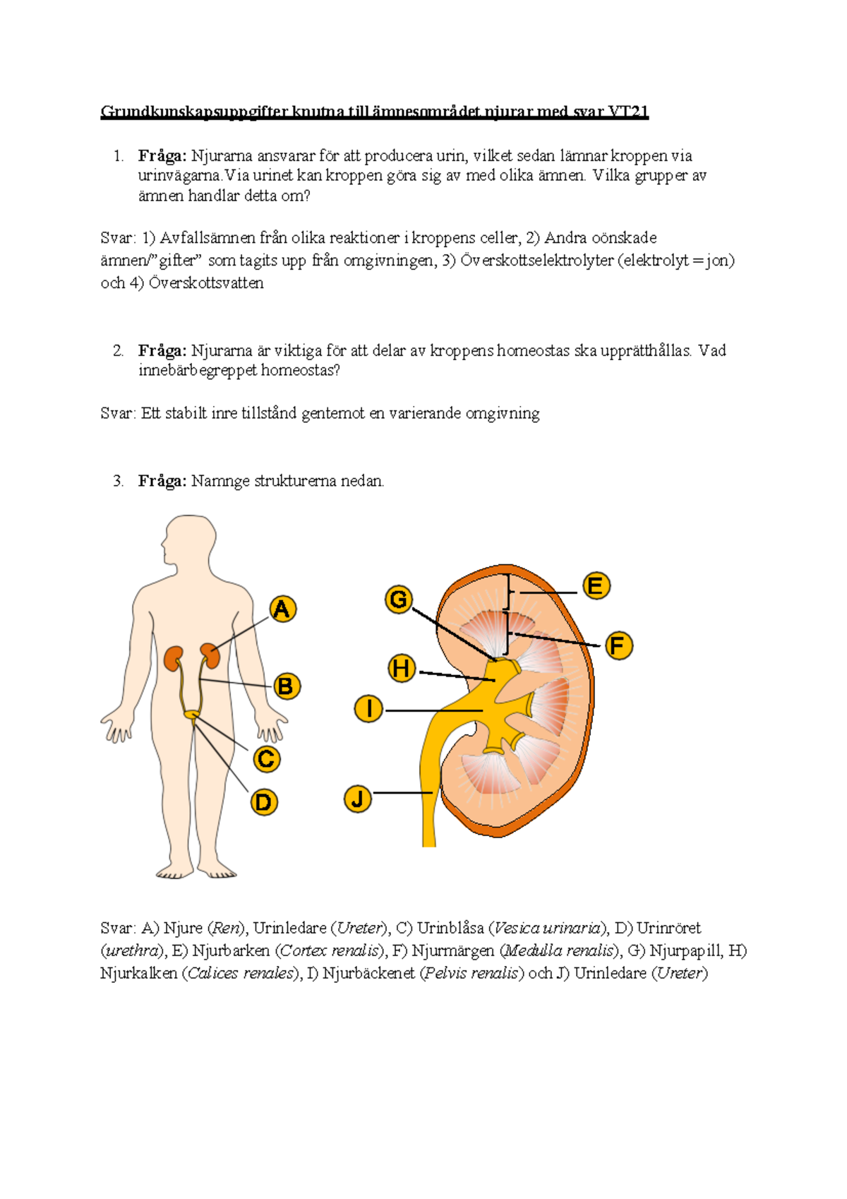 GU njurar med svar VT21 - det är god material - Grundkunskapsuppgifter knutna till ämnesområdet ...