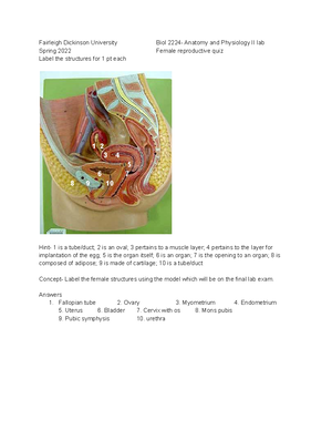 Muscle quiz upperlimb - William Paterson University Fall 2021 Upper ...