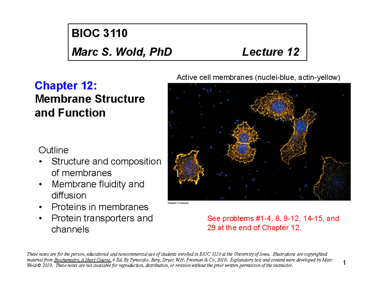 3110 Chap12 Membranes Lecture Slides - BIOC 3110 Marc S. Wold, PhD ...
