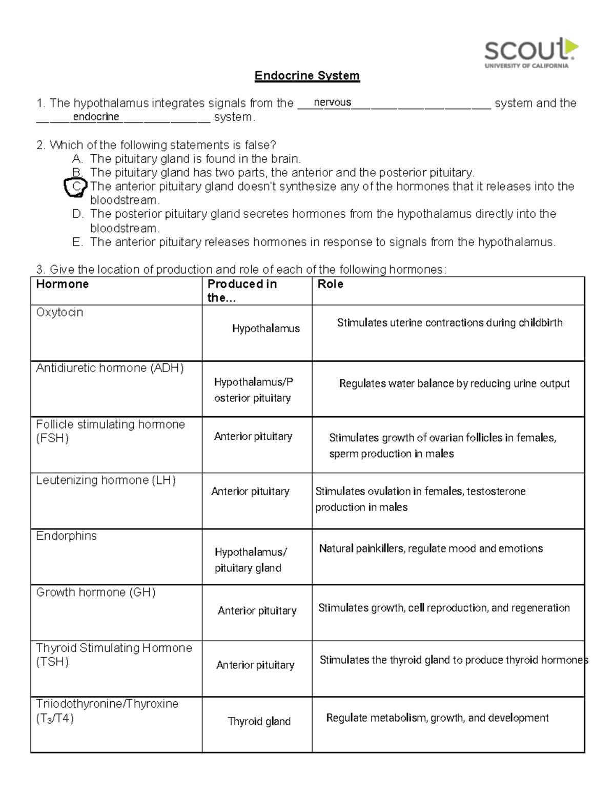 Endocrine System Bio Assignment - Endocrine System The hypothalamus ...