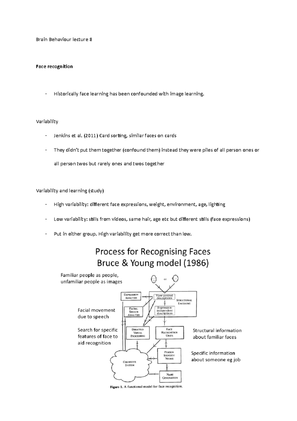 Face Recognition Bb L8 Lecture Notes Brain Behaviour Brain Behaviour Lecture 8 Face
