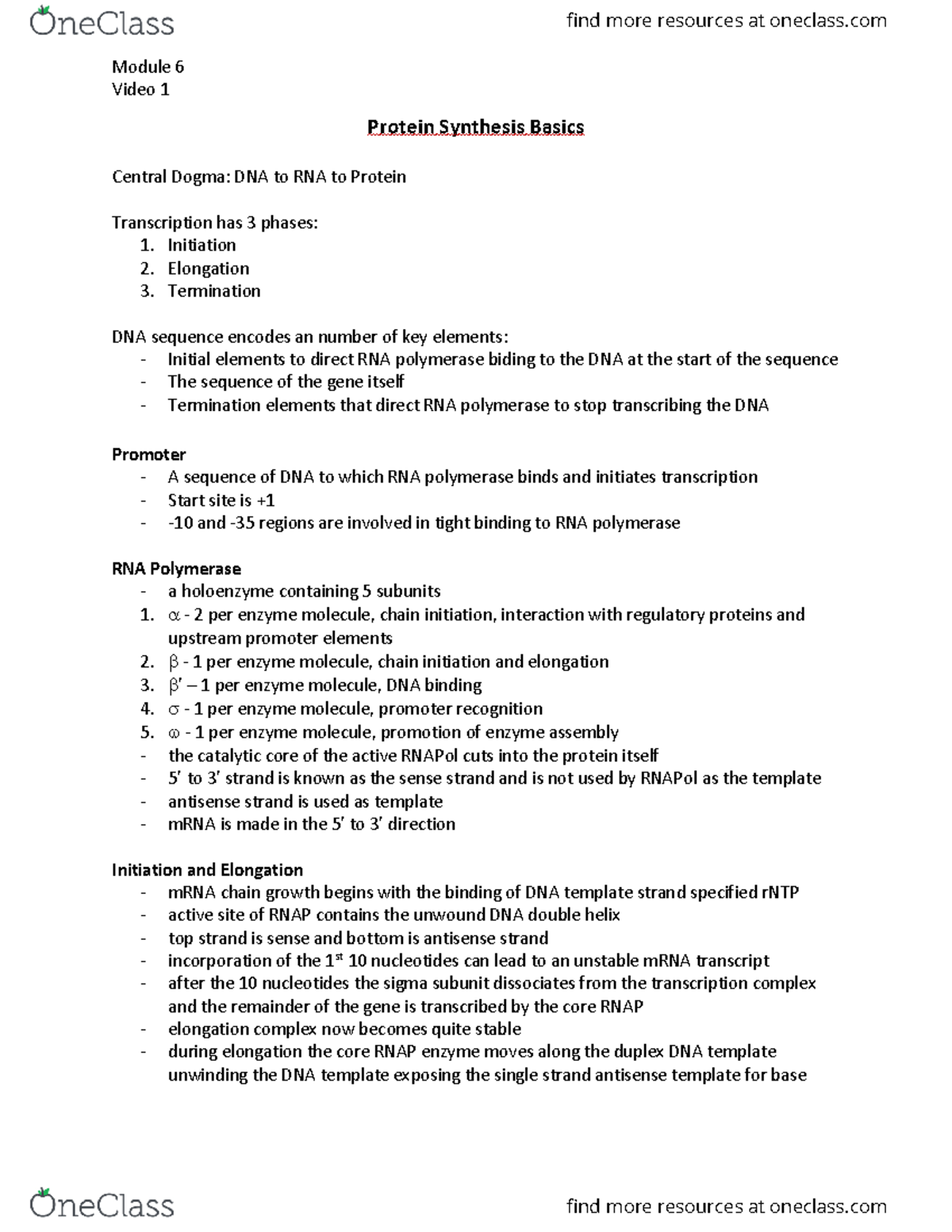 Protein Synthesis Basics - Module 6 Video 1 Protein Synthesis Basics ...