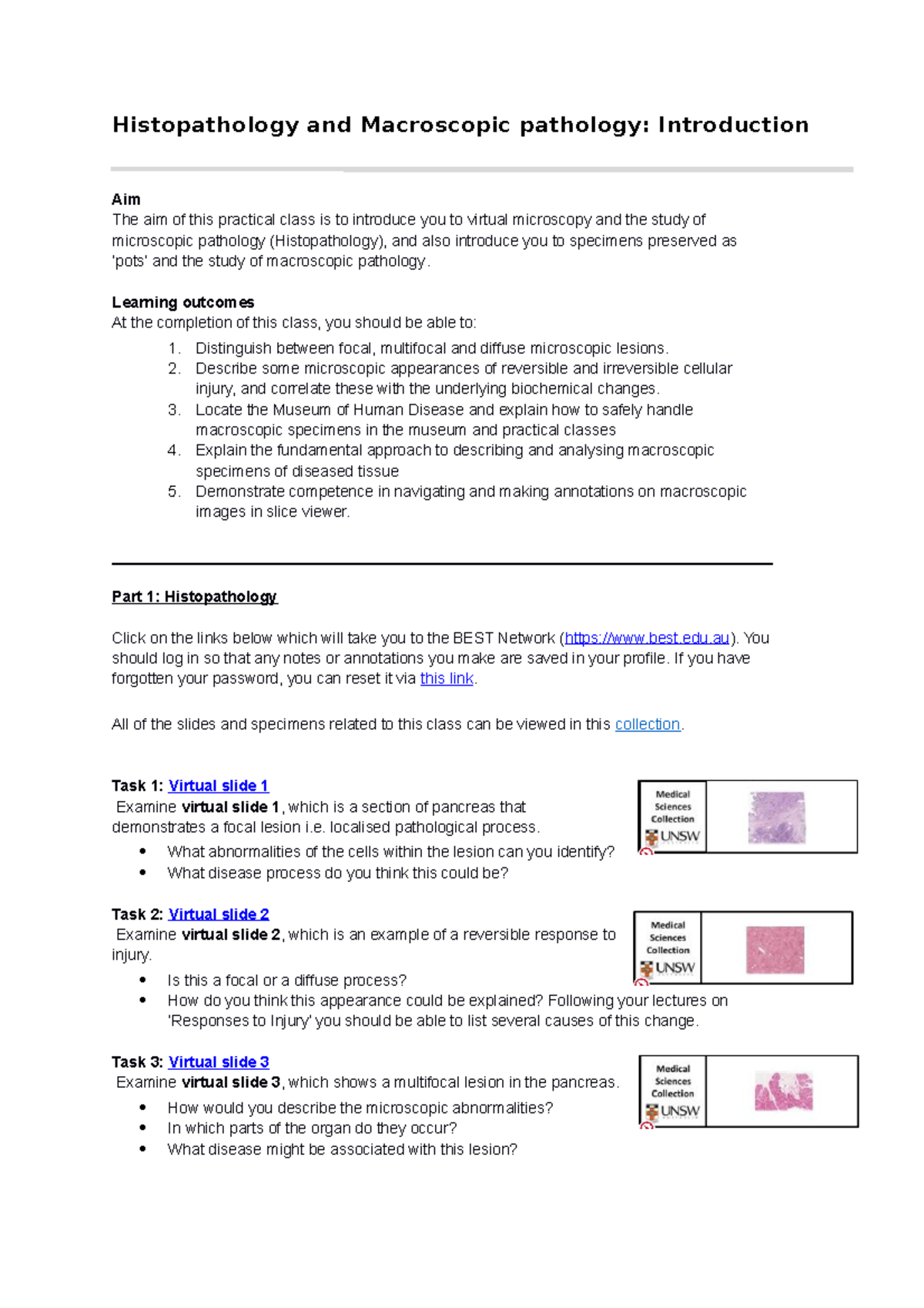Histopathology and Macroscopic Pathology 1 - Worksheet - Histopathology ...