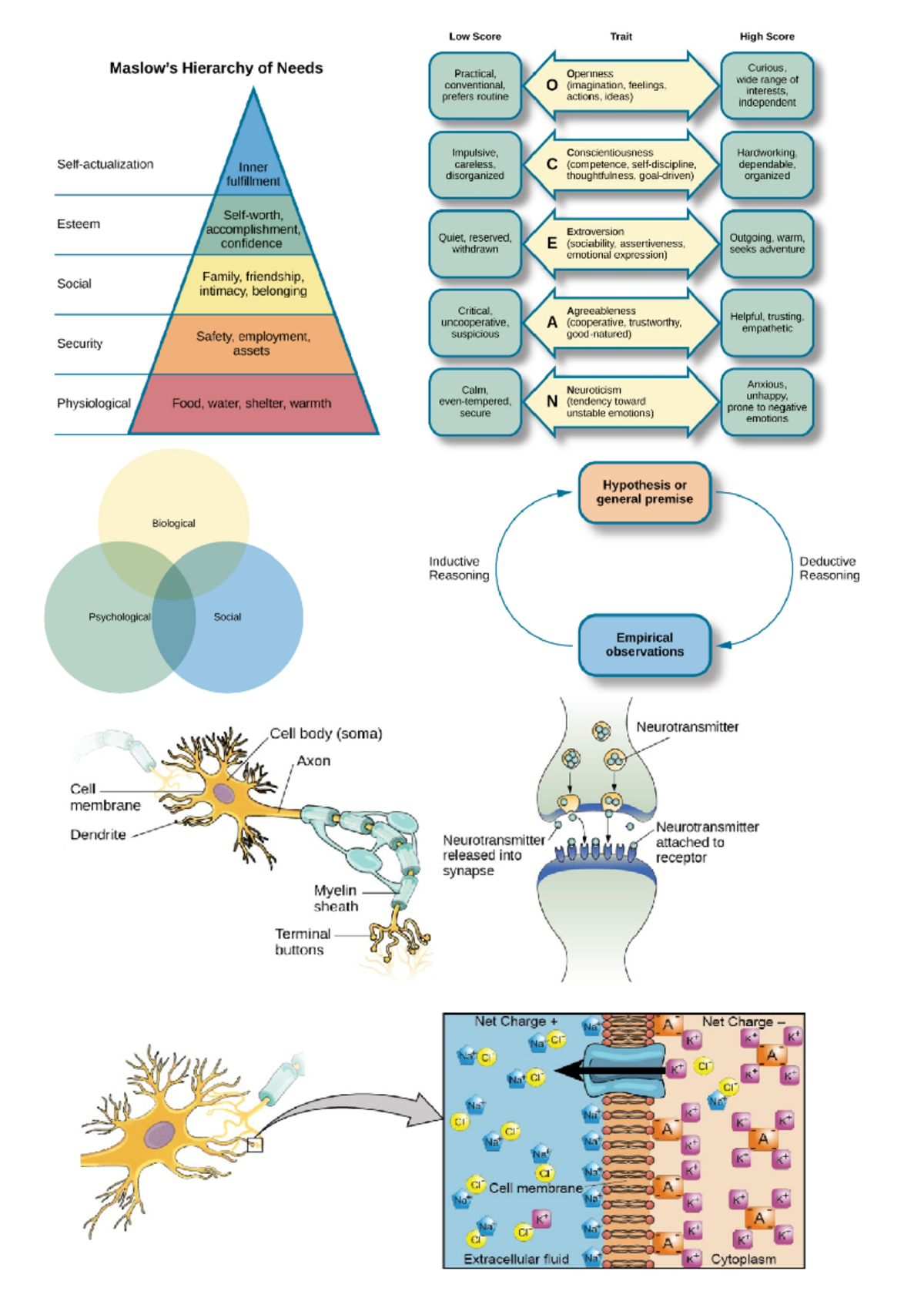 Belangrijke figuren - important figures - Introduction Psychology and ...