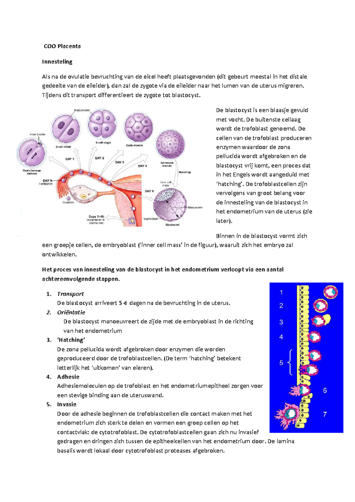 2.1 Voortplanting en ontwikkeling: Placenta_2.1 - COO Placenta ...