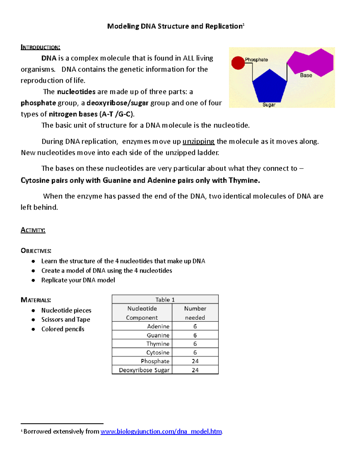 Dna Modeling With Paper Esl Modeling Dna Structure And Replication 1