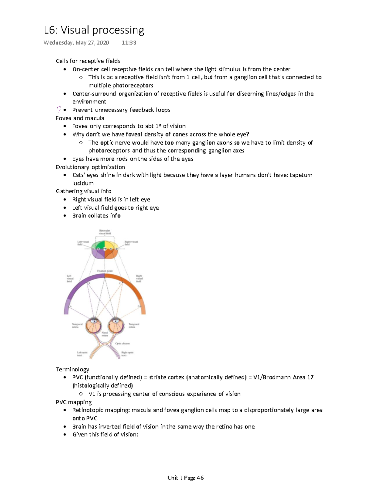 Unit 1 Lecture 6 Visual Processing - Cells for receptive fields On-center cell receptive fields ...