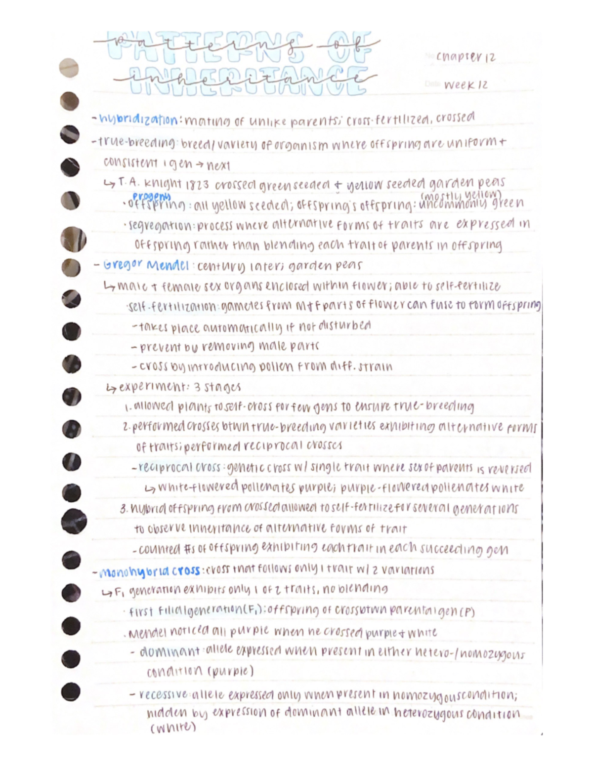 Patterns Of Inheritance Lecture Notes From Dr Warrens Biol200 Class