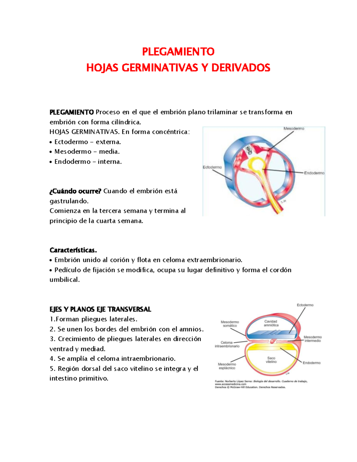 Plegamiento Embriología - PLEGAMIENTO HOJAS GERMINATIVAS Y DERIVADOS ...