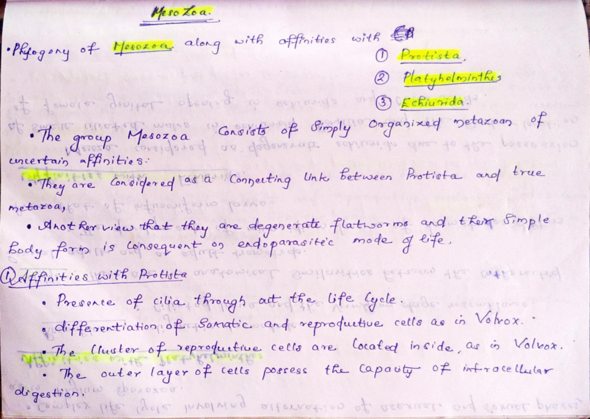 Mesozoa - Simple notes - Bsc zoology - Studocu