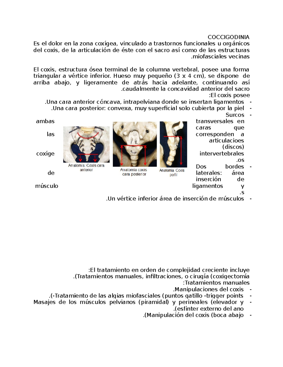 Patologias - Información de patologías - COCCIGODINIA Es el dolor en la ...