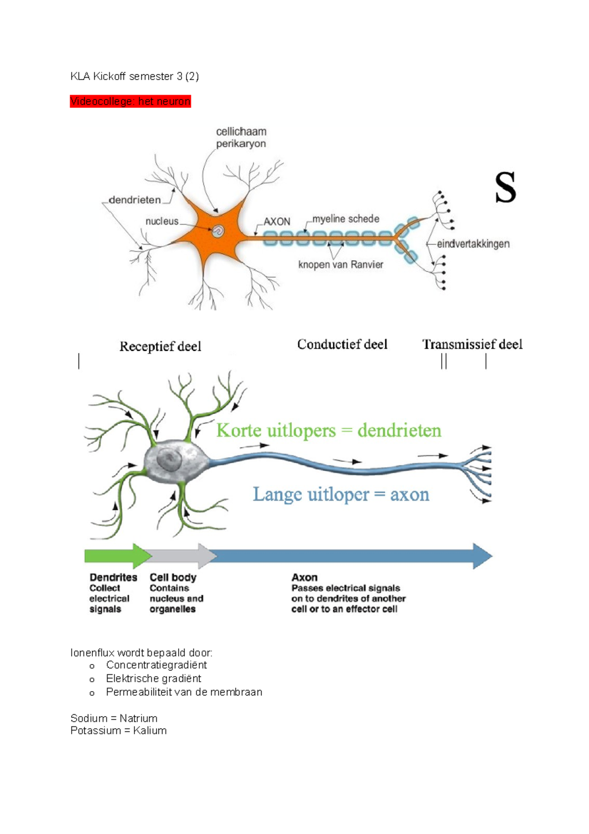 KLA Kickoff semester 3 - o Dermatoom (huid) o Myotoom (spier) o ...