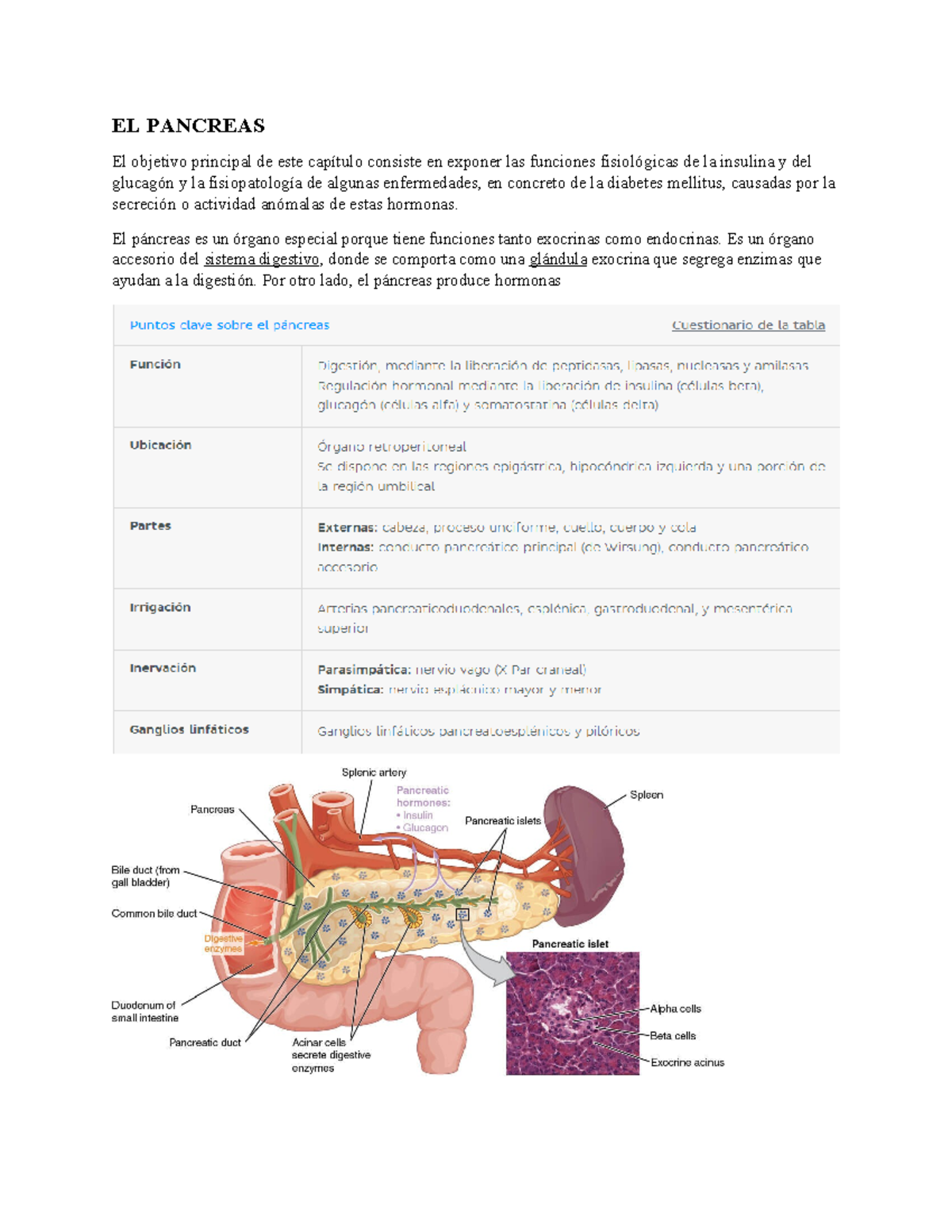 M3^JU2^T36 Pancreas - EL PANCREAS El objetivo principal de este ...