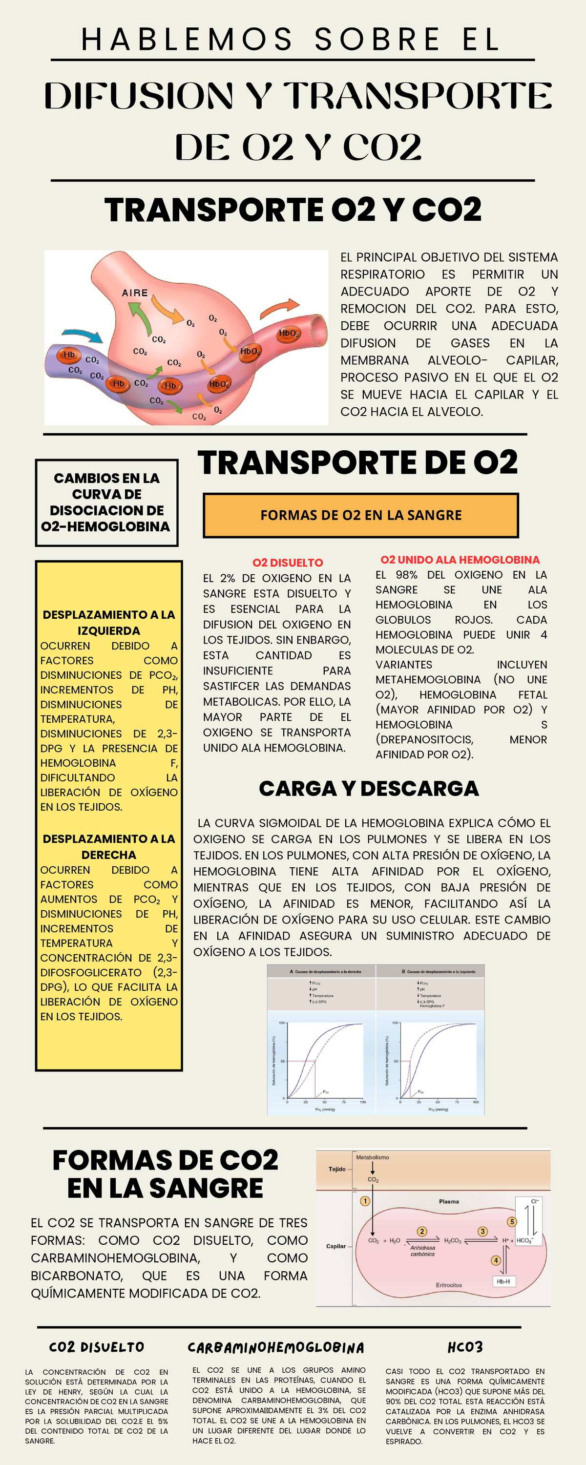 Infografia - DIFUSION Y TRANSPORTE DE O2 Y CO H A B L E M O S S O B R E ...