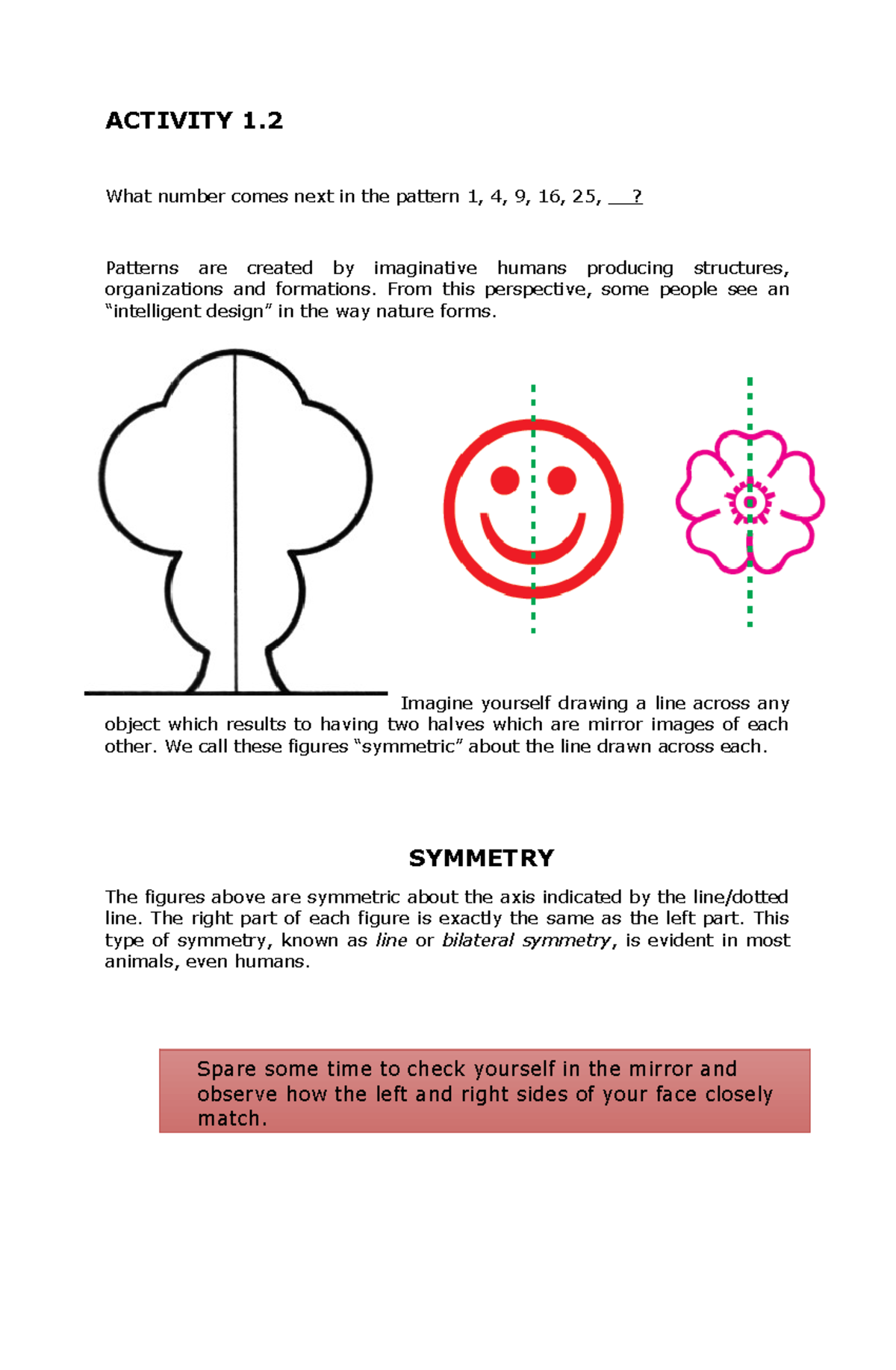 Lesson 2: Symmetry - ACTIVITY 1. What number comes next in the pattern ...