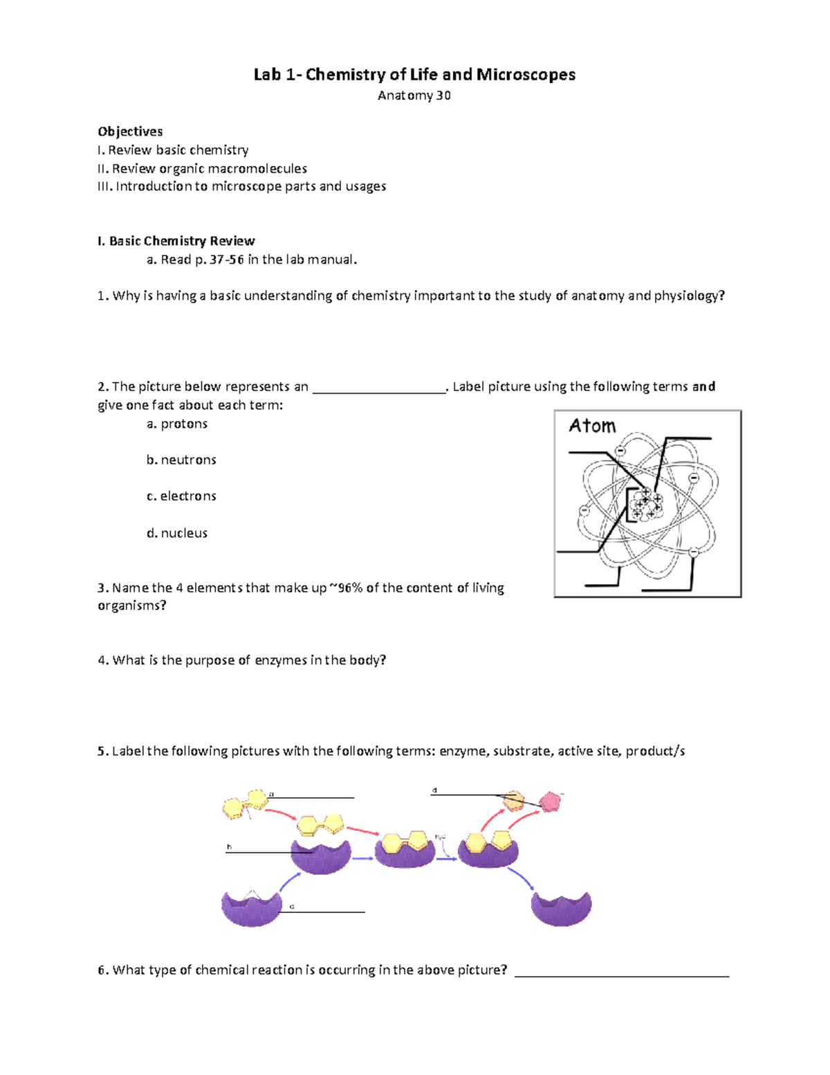 Lab 1- Chem and Microscopes complete - Lab 1- Chemistry of Life and ...