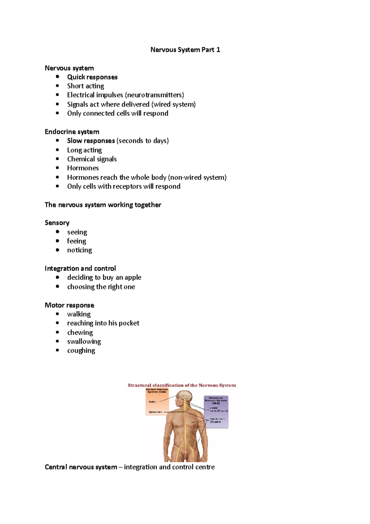 Nervous System Part 1 - Special senses, vision, taste, hearing, smell ...