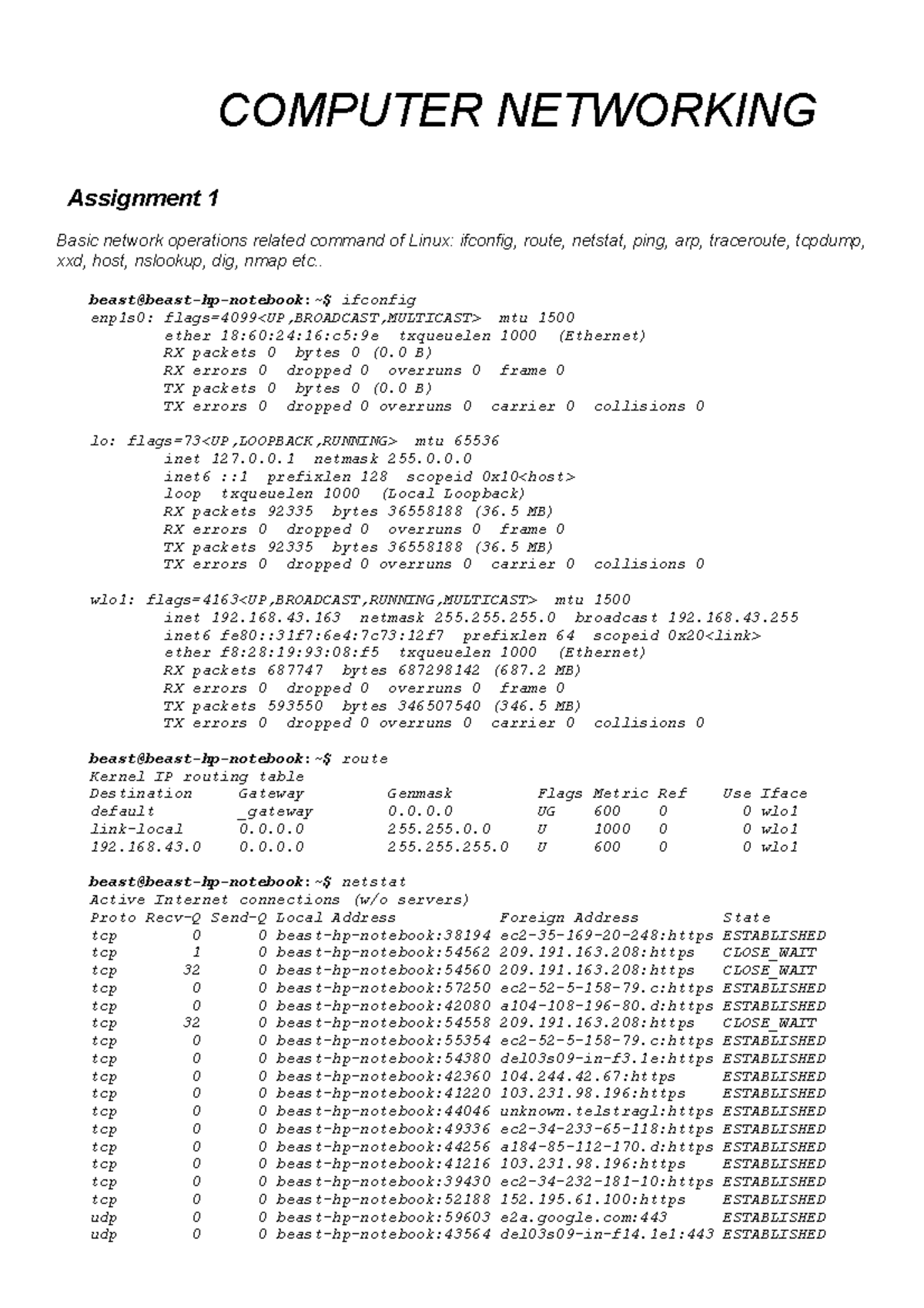 Computernetworks - COMPUTER NETWORKING Assignment 1 Basic network ...