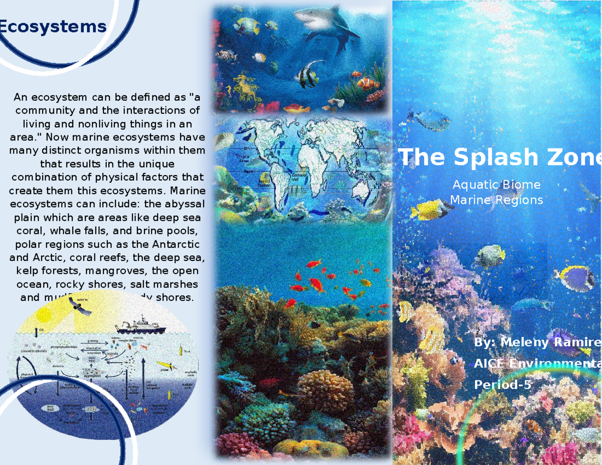 Brochure - By: Meleny Ramire AICE Environmenta Period- Aquatic Biome ...