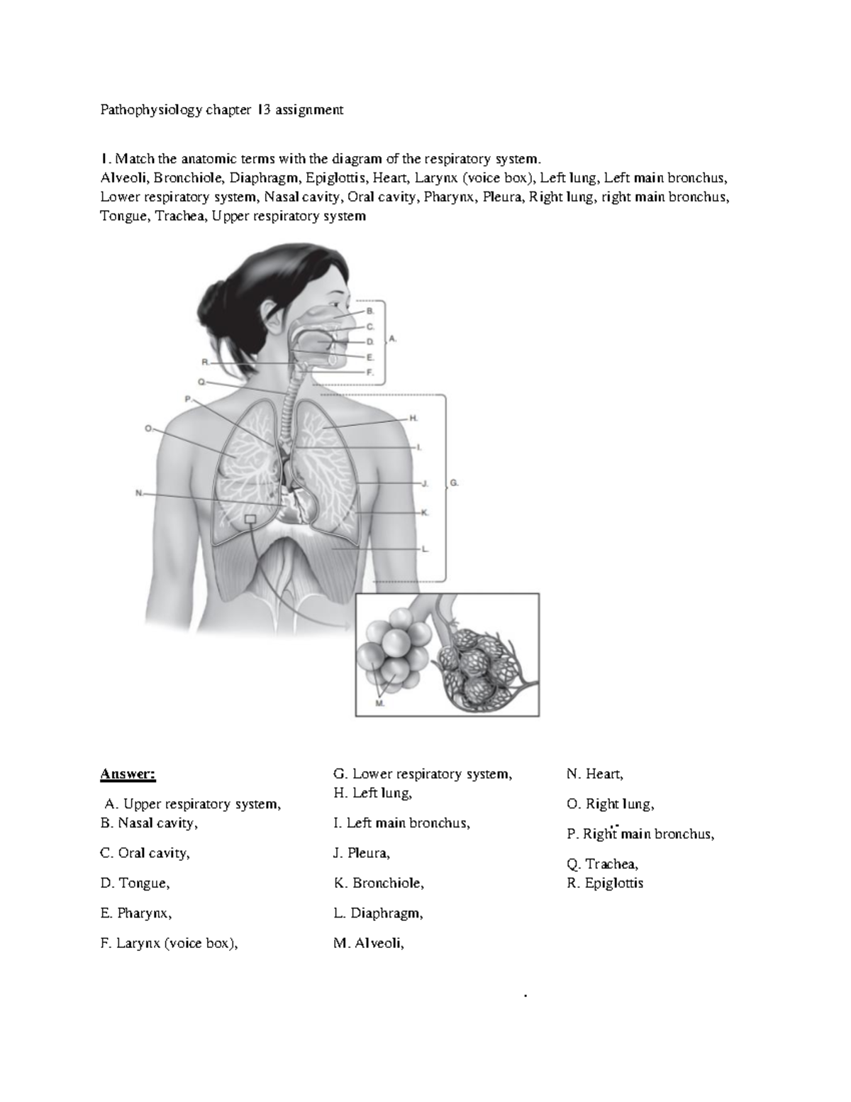 CH13 Week7 Patho - lecture notes - Pathophysiology chapter 13 ...