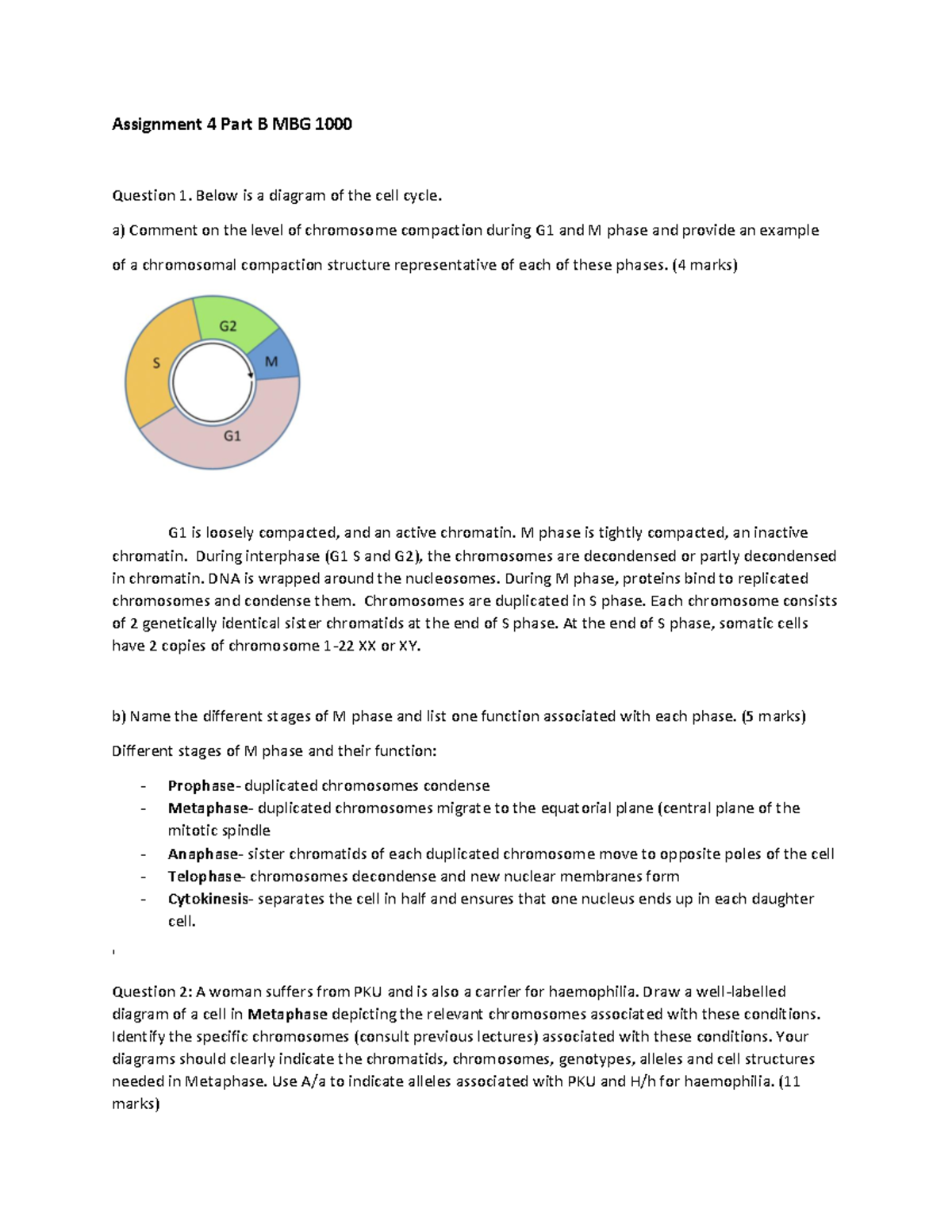 Assignment 4 Part B MBG 1000 - Assignment 4 Part B MBG 1000 Question 1. Below is a diagram of ...
