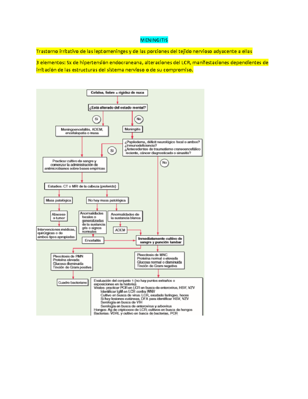 Meningitis Manejo clínico - Warning: TT: undefined function: 32 Warning: TT: undefined function ...
