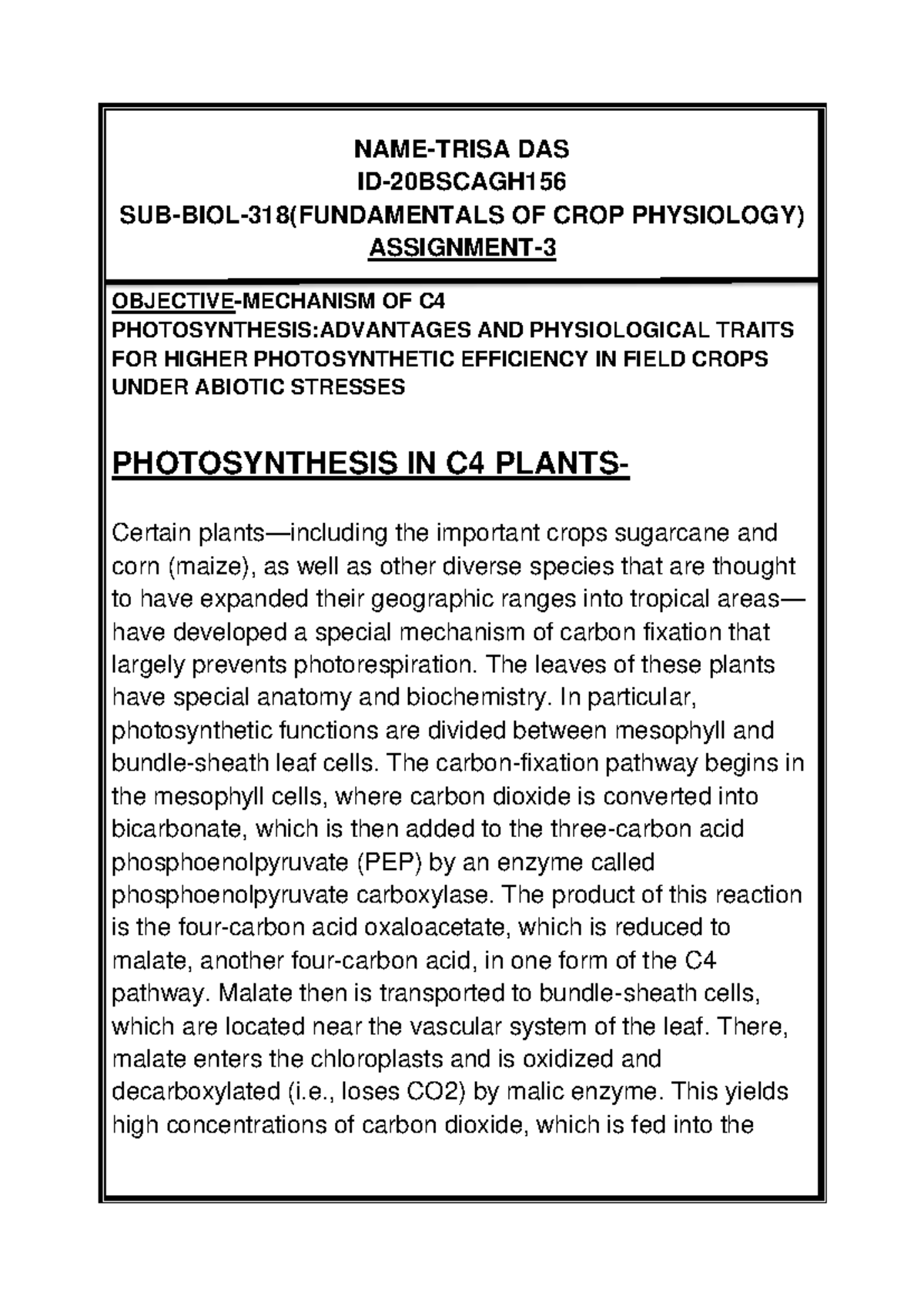 -MECHANISM OF C4 PHOTOSYNTHESIS:ADVANTAGES AND PHYSIOLOGICAL TRAITS FOR ...