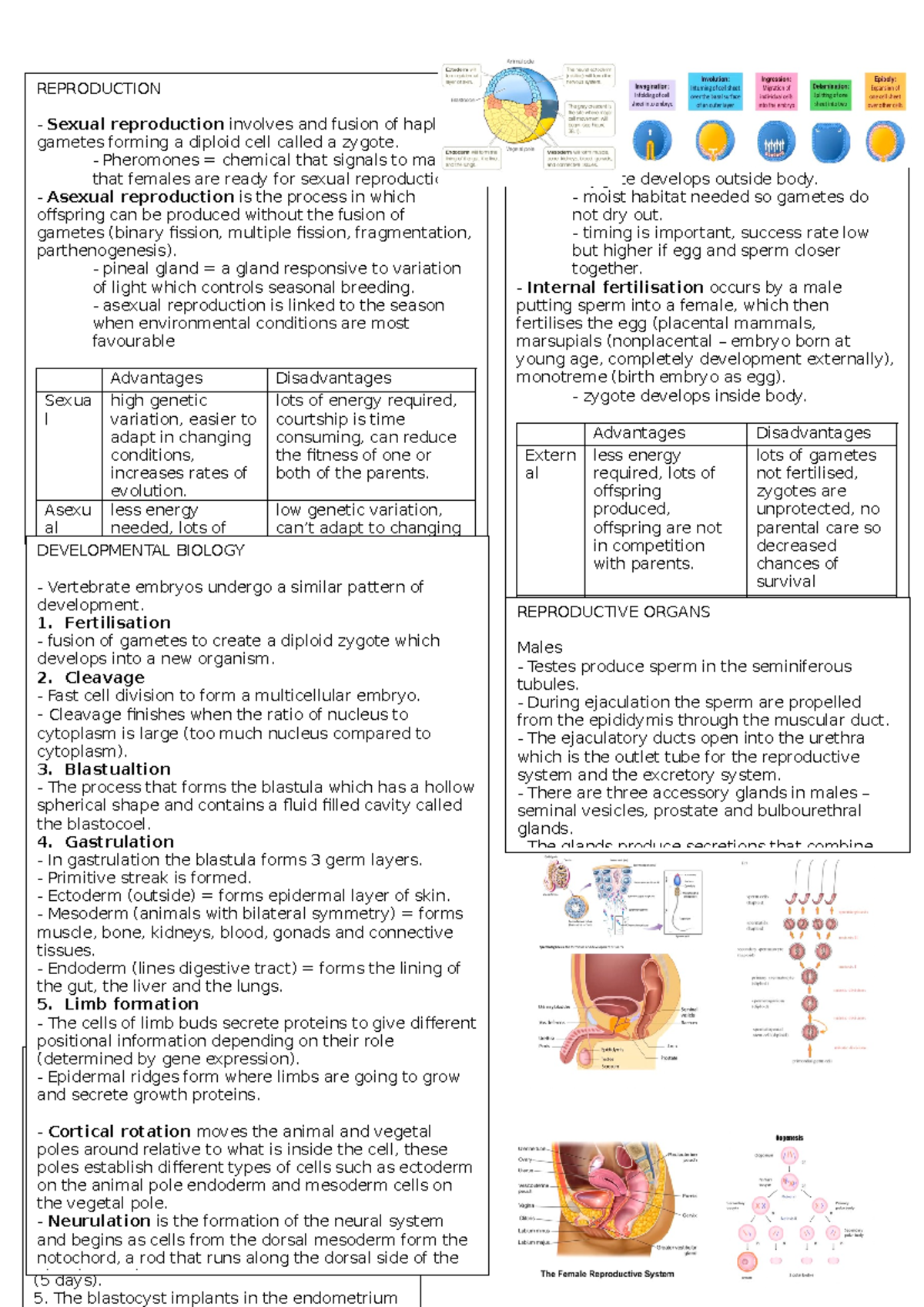 Module 2 Summary Notes - REPRODUCTION Sexual reproduction involves and ...