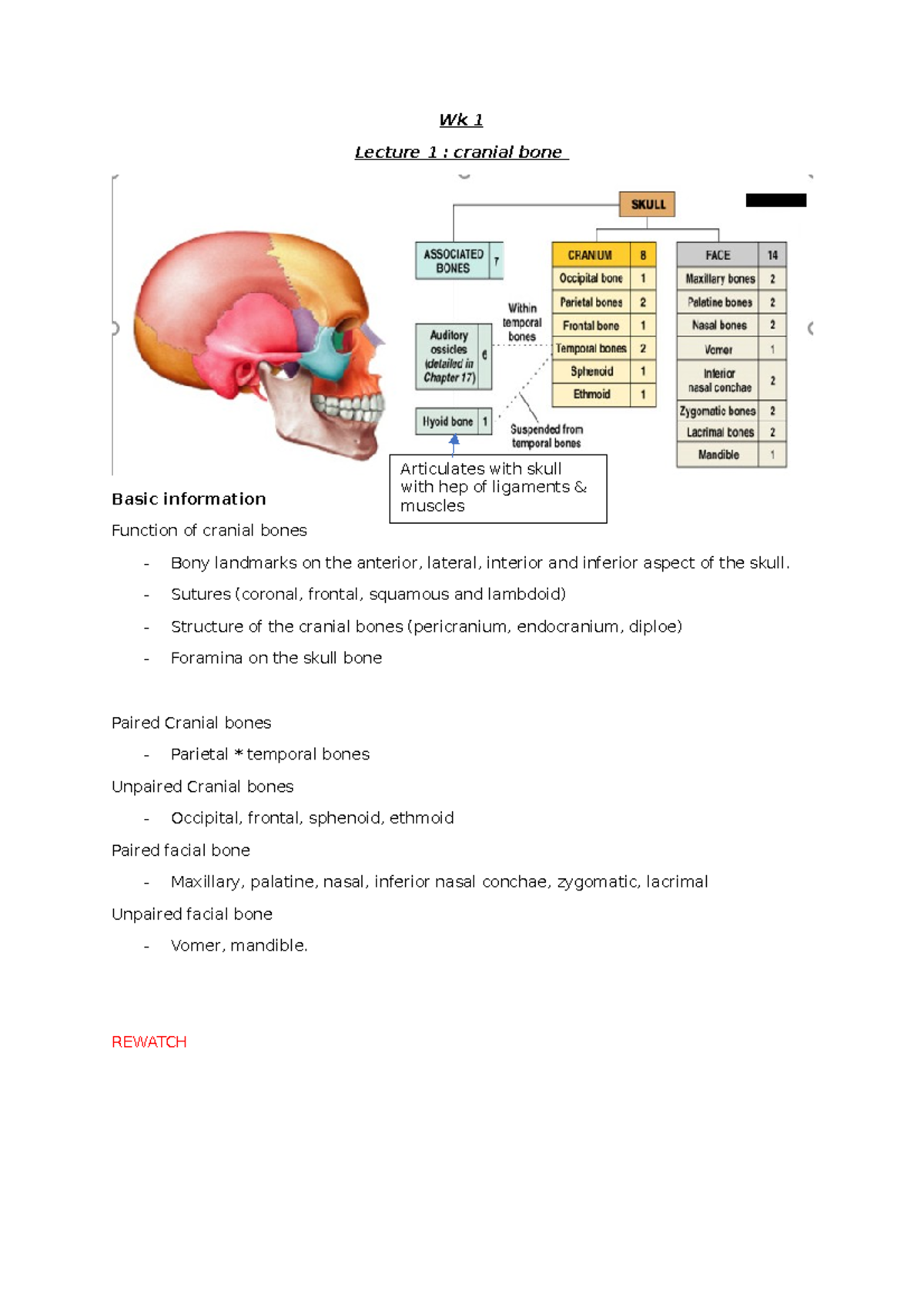 Wk 1 Cranial bones - Wk 1 Lecture 1 : cranial bone Basic information ...