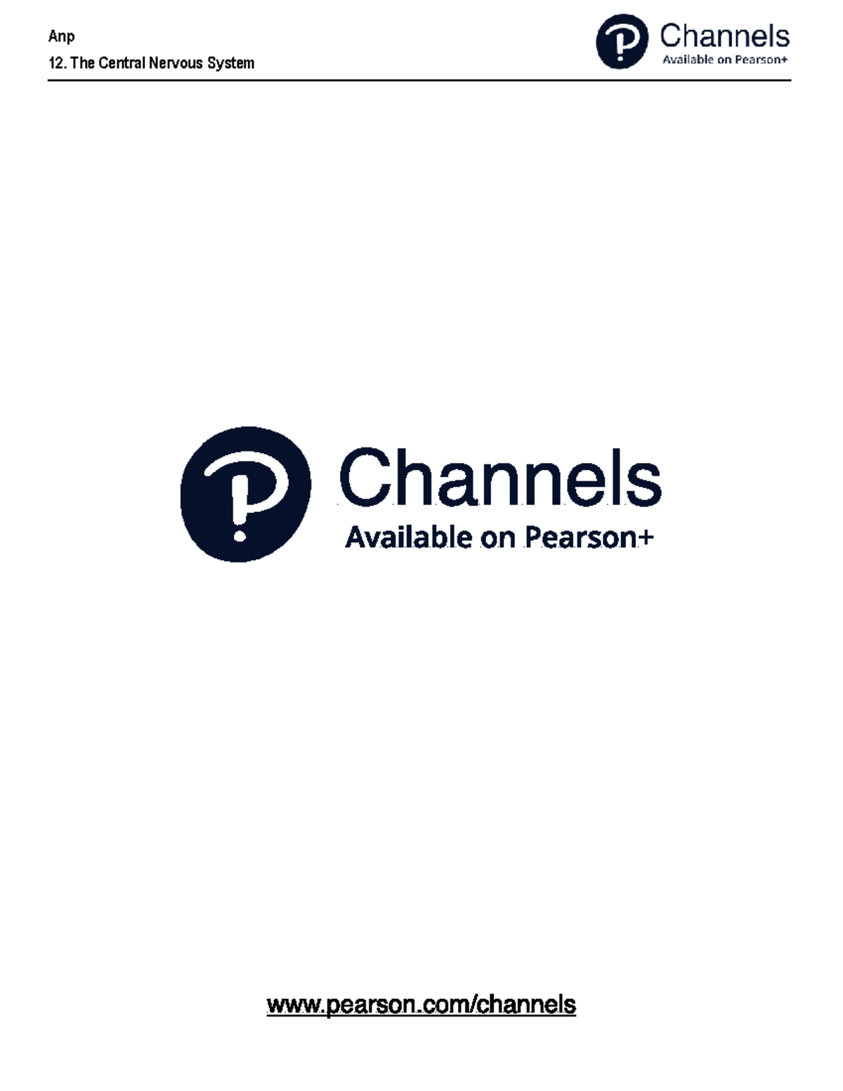 12 The Central Nervous System - Available on Pearson+ Channels pearson ...