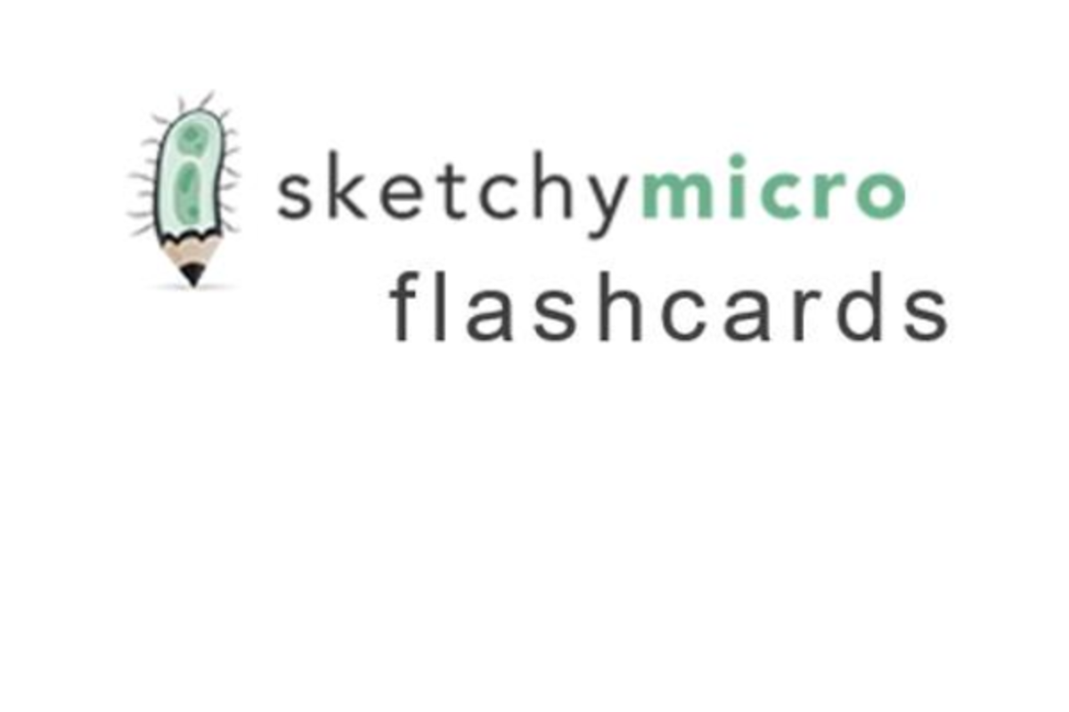 Sketchy Micro Flashcards - bacteria STAPHYLOCOCCUS AUREUS “Golden Staff ...