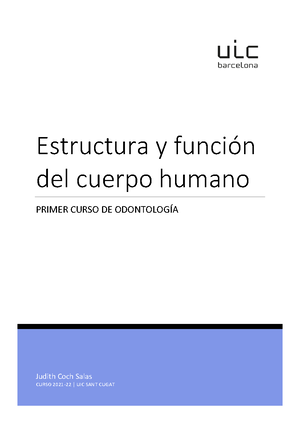 Anato todo - Ilustraciones anatómicas - Estructura y Función del Cuerpo Humano - Studocu