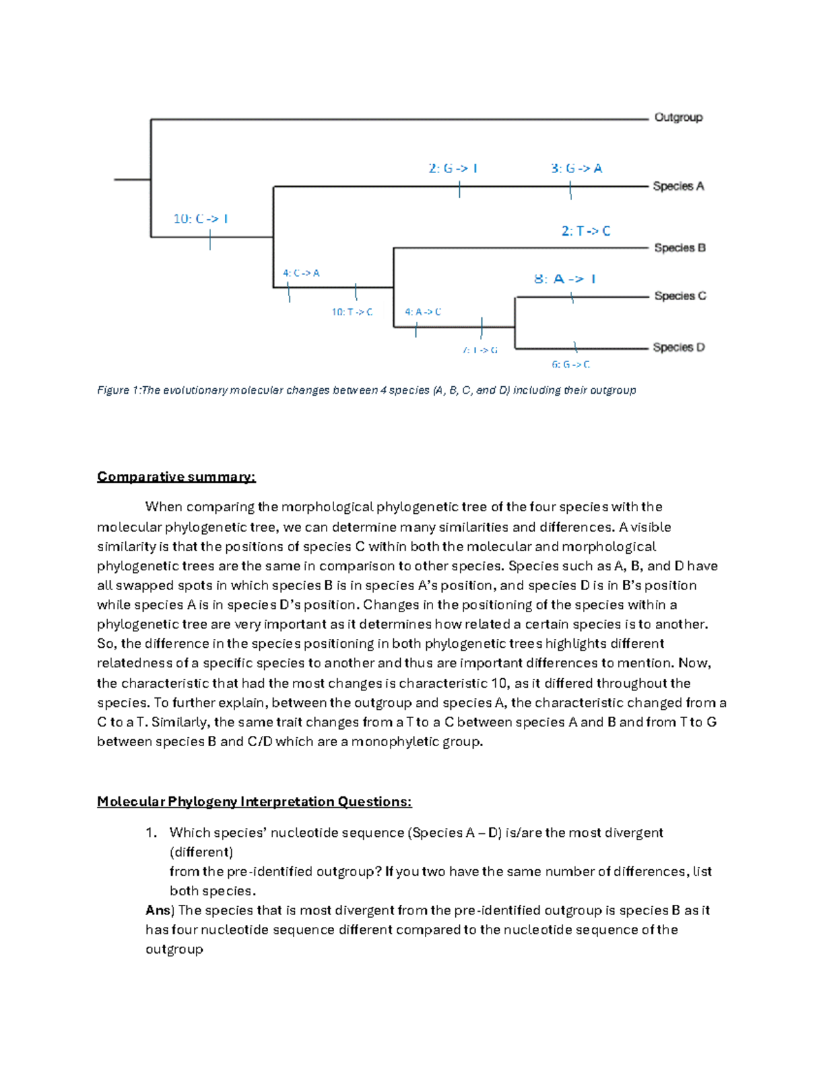 Plant Phylogeny TREE final copy - Figure 1 :The evolutionary molecular ...