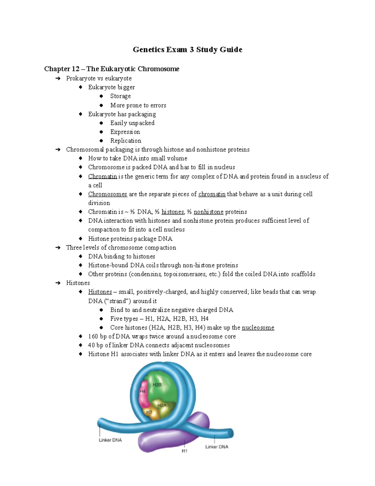 Genetics Exam 3 - exam 3 study guide - Genetics Exam 3 Study Guide ...