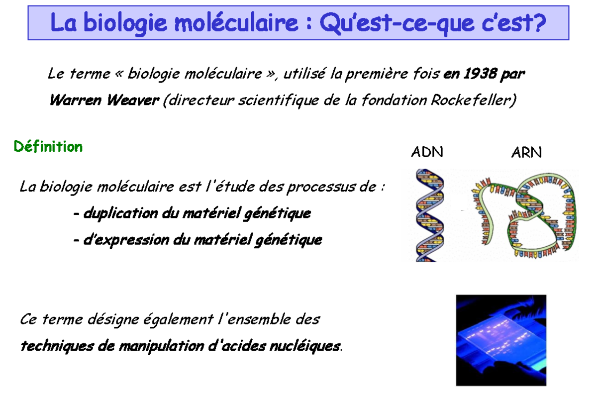 CM1 biologie moleculaire - ####### La biologie moléculaire est l'étude ...