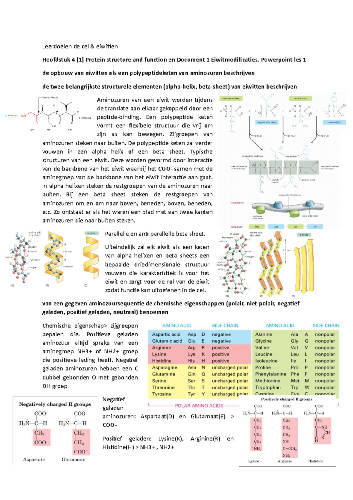 Leerdoelen de cel en eiwitten - Leerdoelen de cel & eiwitten Hoofdstuk 4 [1] Protein structure ...