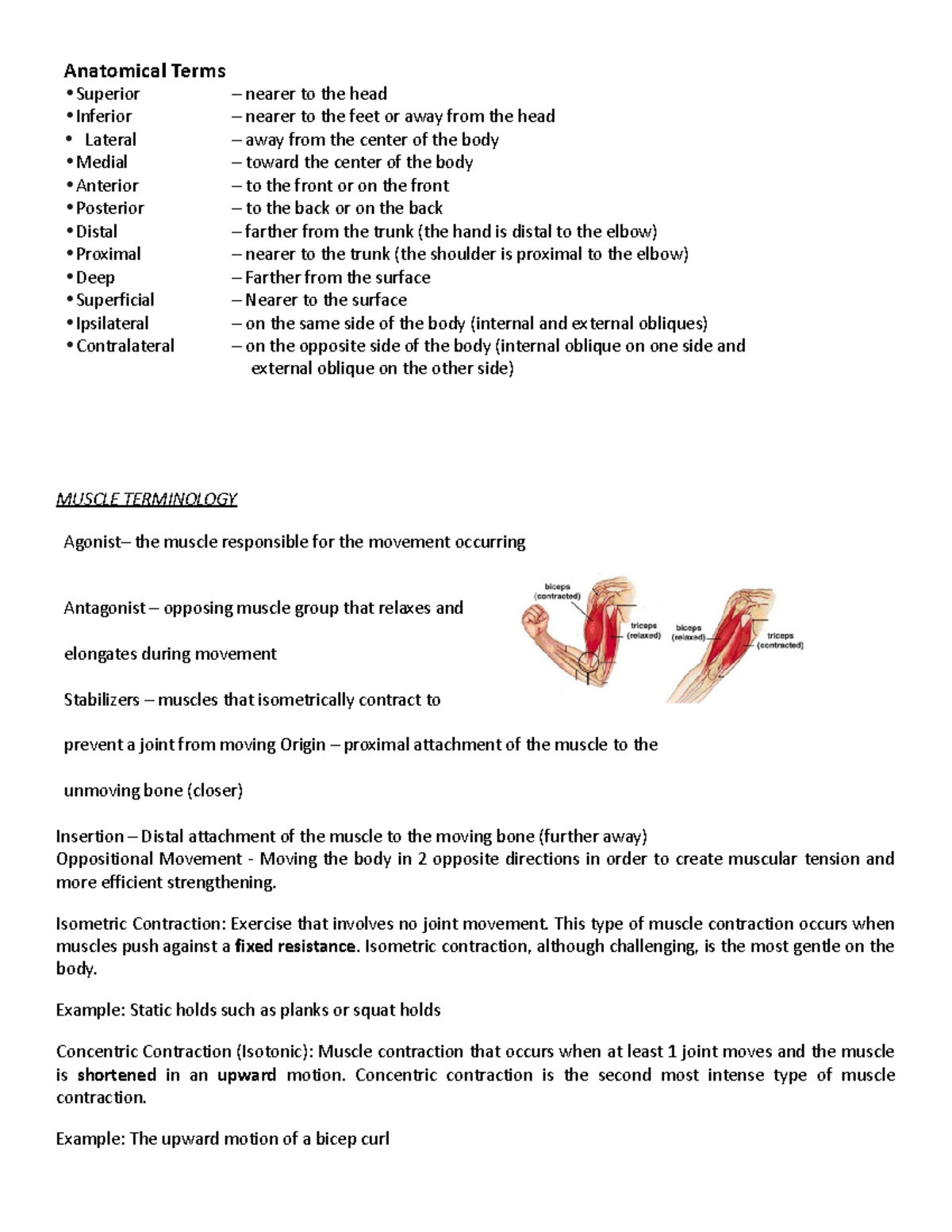 Anatomical Terms - Anatomical Terms Superior – nearer to the head ...