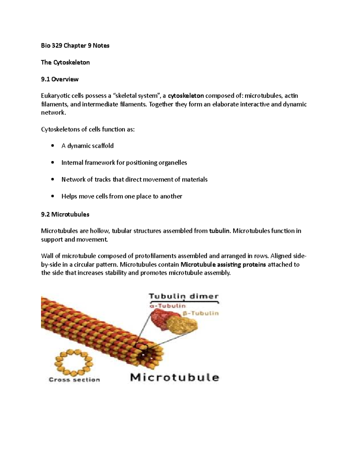 Bio 329 Chapter 9 Notes - Talks about the Cytoskeleton and motor ...
