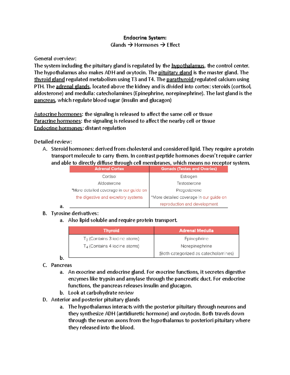 Endocrine System part 1 - Endocrine System: Glands Hormones Effect ...