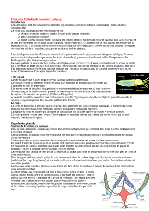 Les plathelminthes - Cours de novembre et décembre 2022 - Eumétazoaire ...