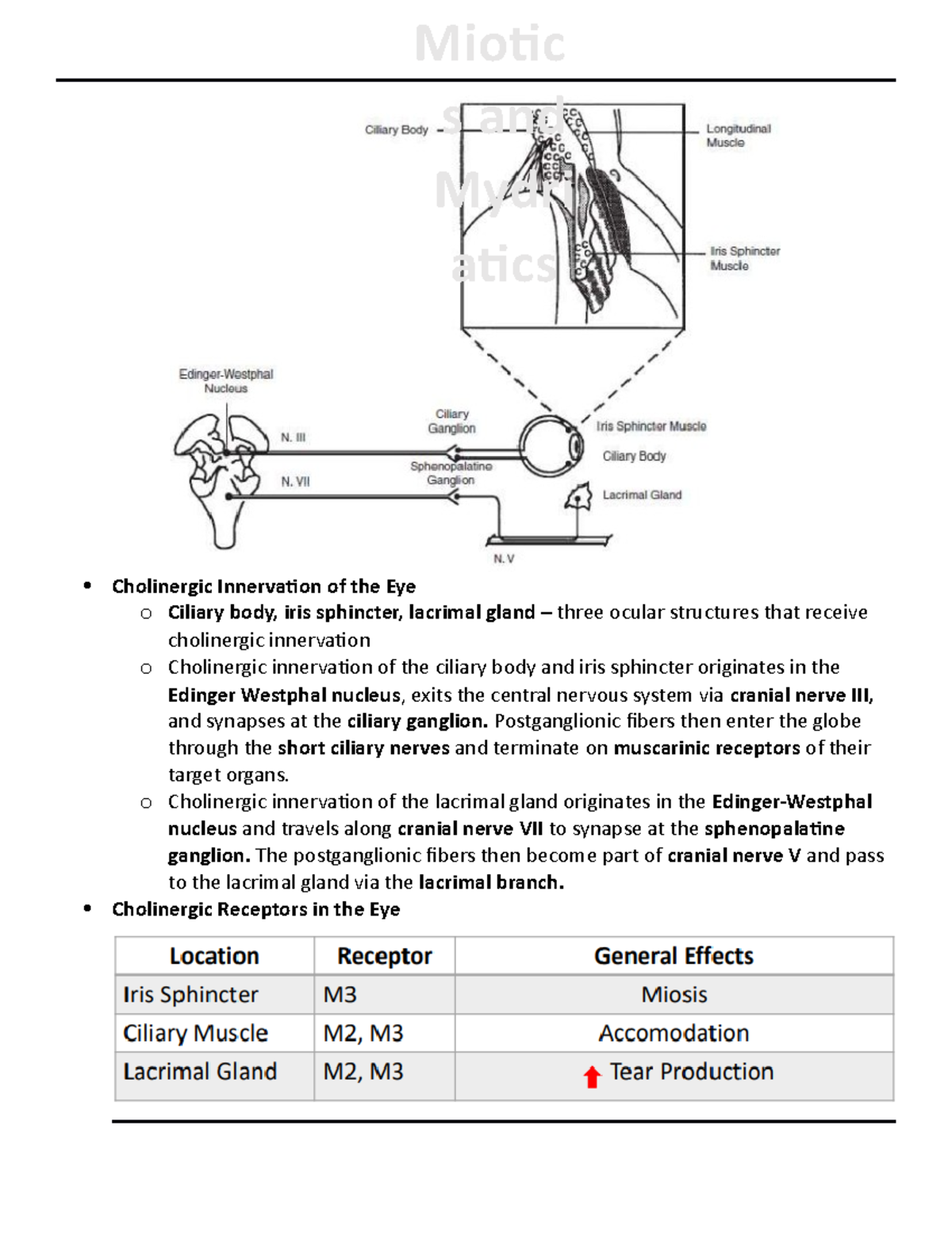 E1 Miotics and Mydriatics - Cholinergic Innervation of the Eye o ...